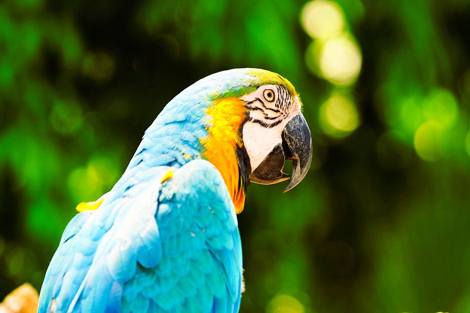 Did You Know? 10 Surprising Facts About the Amazon Rainforest - Trivava