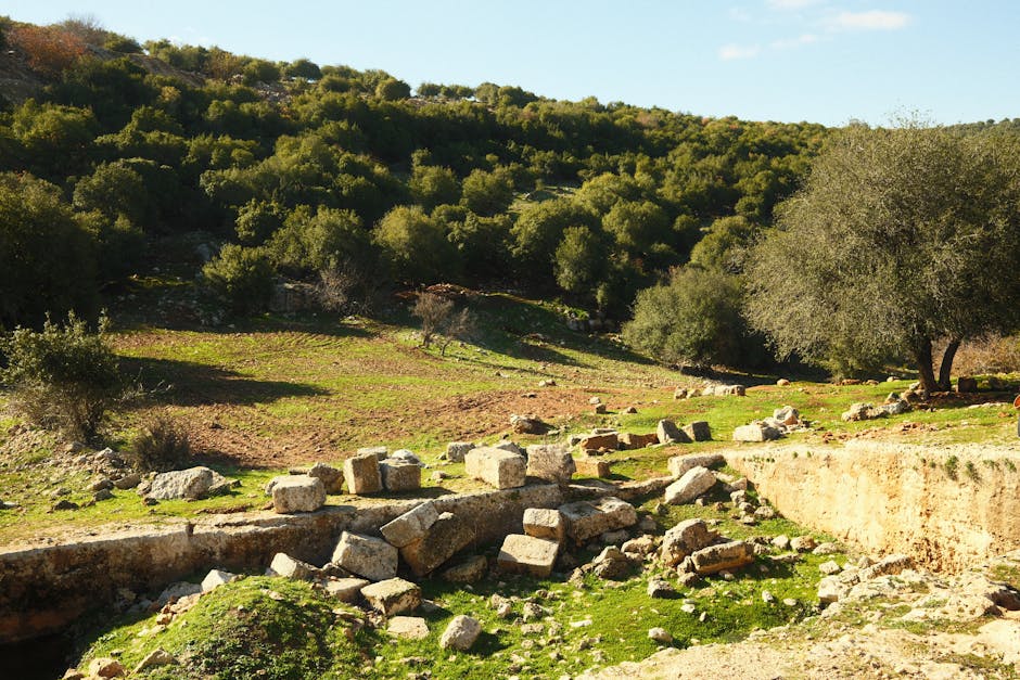 Top 10 Historical Predictions That Came True - Trivava